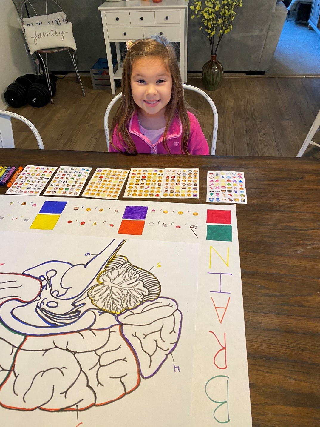 Dementia & the Brain: An easy explanation for kids - Alzheimer's San Diego