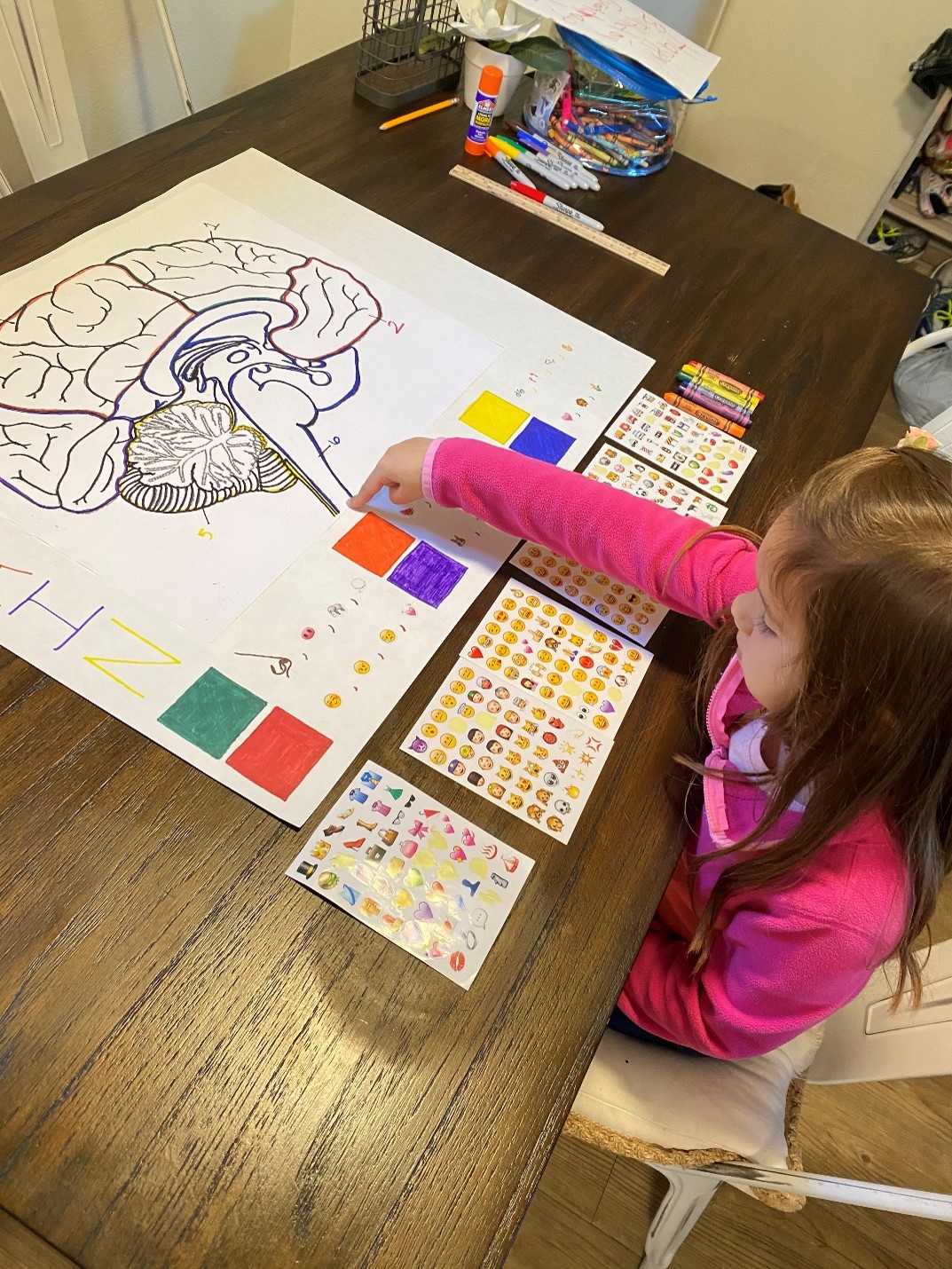 Dementia & the Brain: An easy explanation for kids - Alzheimer's San Diego