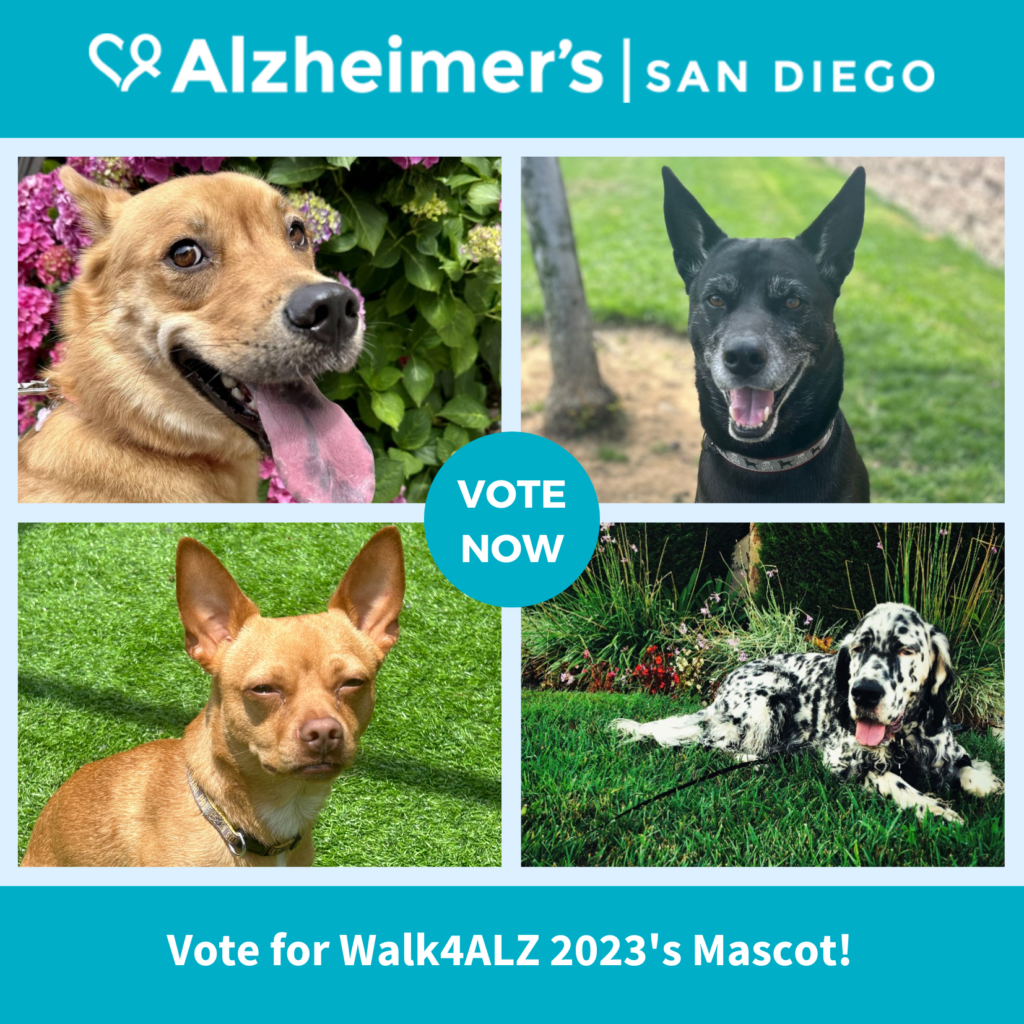 VOTE: Walk4ALZ 2023 Pet Mascot - Alzheimer's San Diego VOTE: Walk4ALZ 2023 Pet Mascot - Alzheimer's San Diego